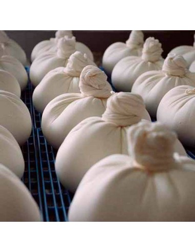 NEVAT CHEESE - Queso de Cabra Nevat