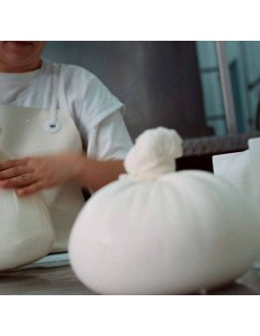 NEVAT CHEESE - Queso de Cabra Nevat